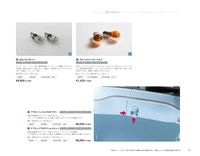 Renault TWINGO Accessories